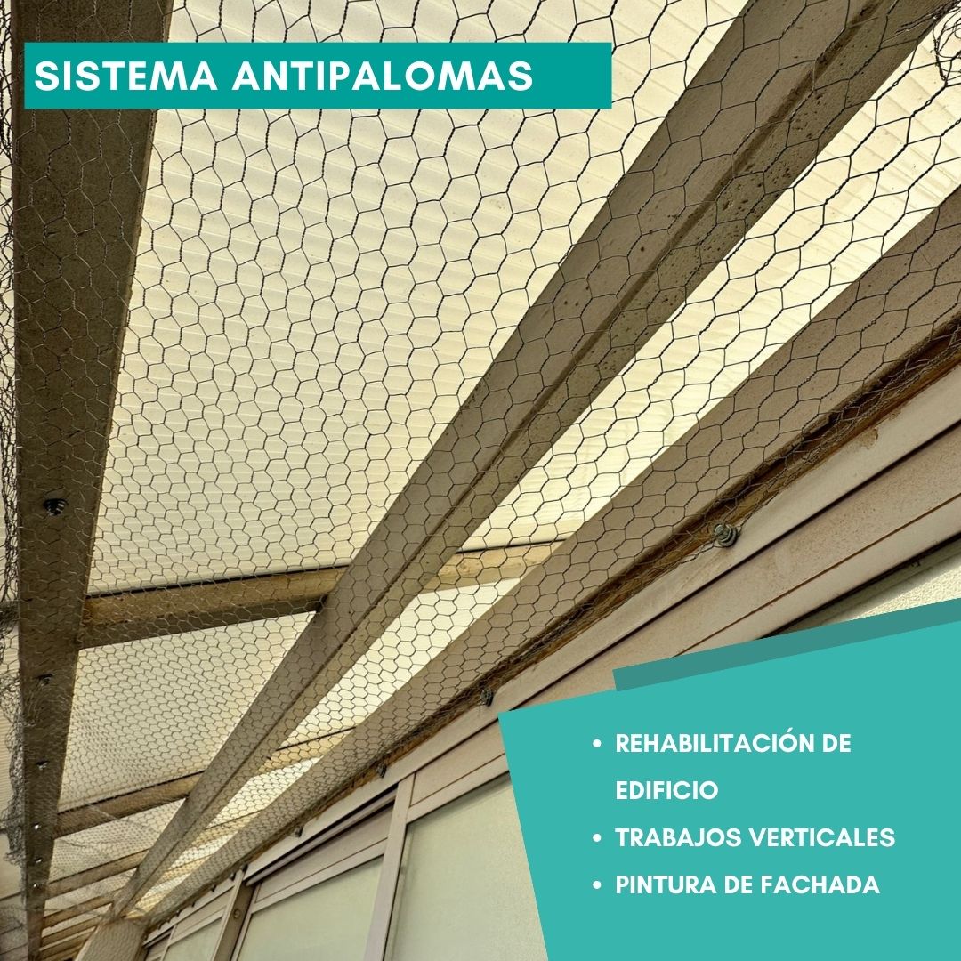 COLOCACIÓN DE SISTEMA ANTI-PALOMAS | NV Vertical